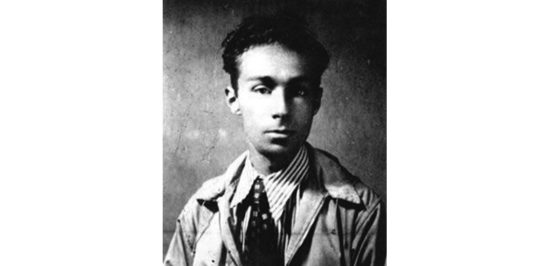 Primo Levi Zinc and the Pure Race - Italian Stories